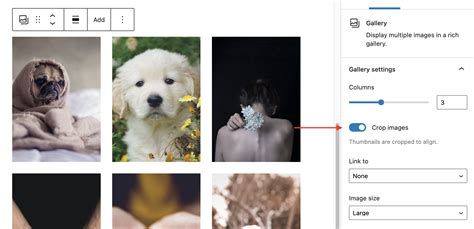 Gallery Block WordPress Org Documentation