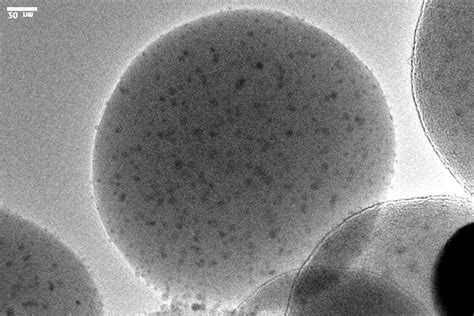 Fig S3 Tem Image Of The As Prepared Sio 2 Ag Composite Microspheres Download Scientific