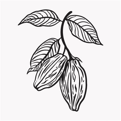 Fidelityfx Cacao World Of Warcraft 902 Rx 6800 Xt Ryzen 7 5800x Ray