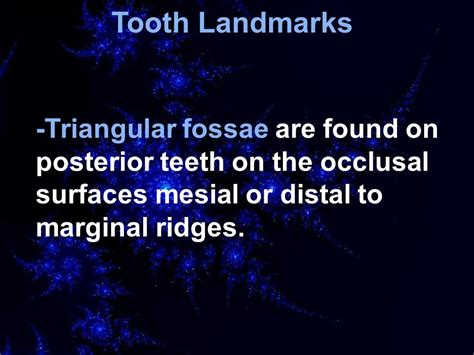 Triangular Fossa Teeth