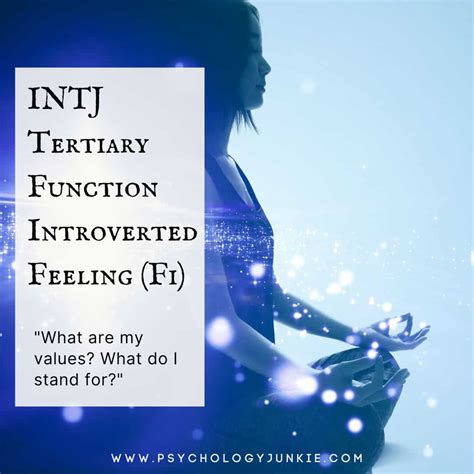 The Intj Cognitive Function Stack Psychology Junkie