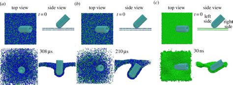 Time Sequence Of Coarse Grained Molecular Dynamics Simulation Results