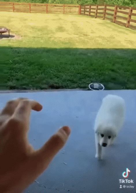 How Do I Make This Kind Of Compression Artifact Transition Thing R