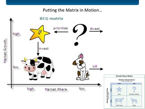 Bcg Matrix Exercises Lavayellow
