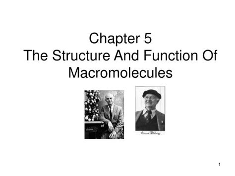 PPT Chapter The Structure And Function Of Macromolecules PowerPoint Presentation ID