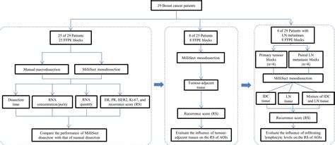 Performance Of Automated Dissection On Formalin Fixed Paraffin Embedded Tissue Sections For The