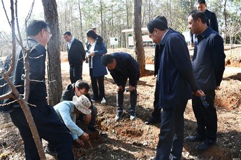 省市政协领导到禄劝开展林下经济调研国银林业临沧耀阳生物药业科技有限公司