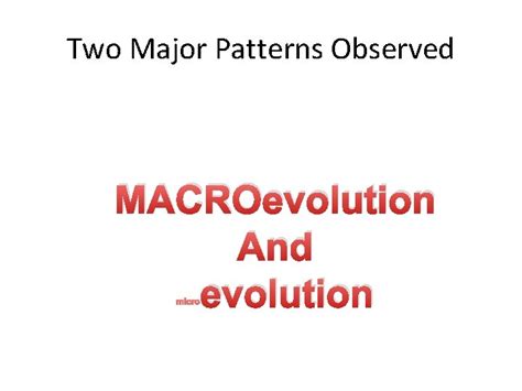 Patterns In Evolution Two Major Patterns Observed Macroevolution