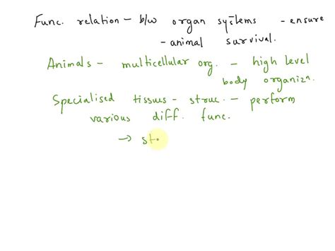Solved Functional Relationships Of The Different Organ Systems In