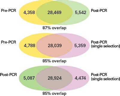 ChIP Seq Library Construction