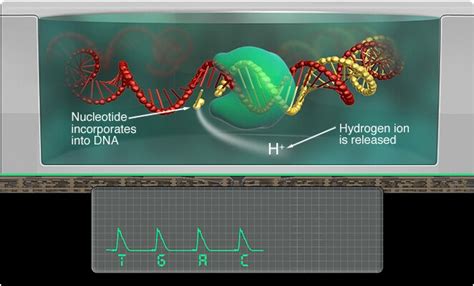 5 Things To Help Start Your NGS Experiments Behind The Bench