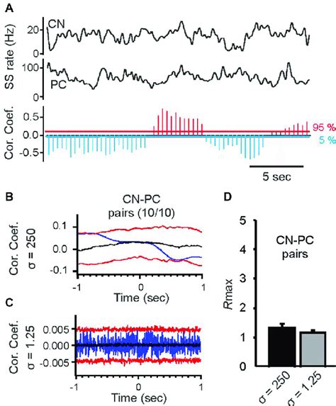 Cross Correlation Analysis Of Spike Activity In Simultaneously