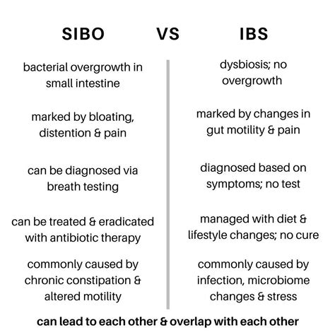 Pin On IBS Gut Health Tips