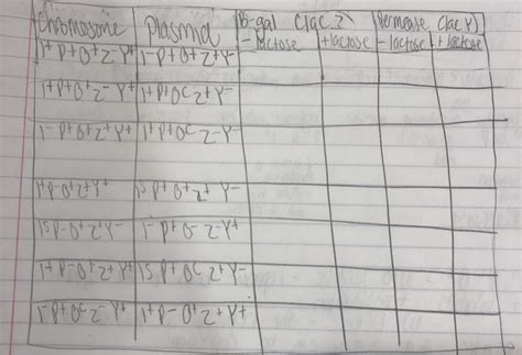 Solved Lac Operon Problems Please Solve And Explain Why Or