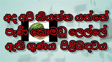 පැණි කොමඩු ලෙල්ලේ ඇති පොෂණය Youtube