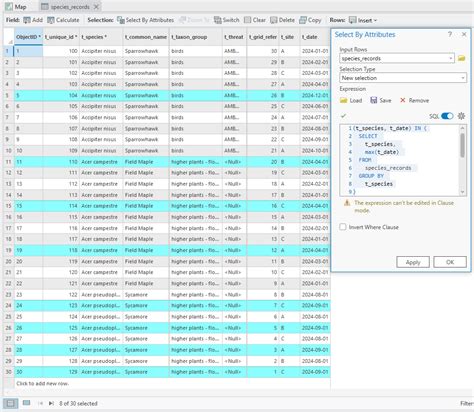 Fgdb Sql — Multiple Columns On The Left Hand Side Esri Community