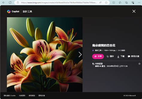 bod idv tw小書製作