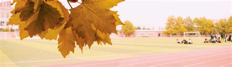 践行滨海价值观，弘扬校本文化—中美文化对比之春节与圣诞节 青岛滨海学院 外国语学院