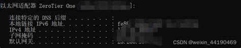 windows专业版以上使用自带远程连接（不限制于局域网） mstsc只能在局域网吗 csdn博客