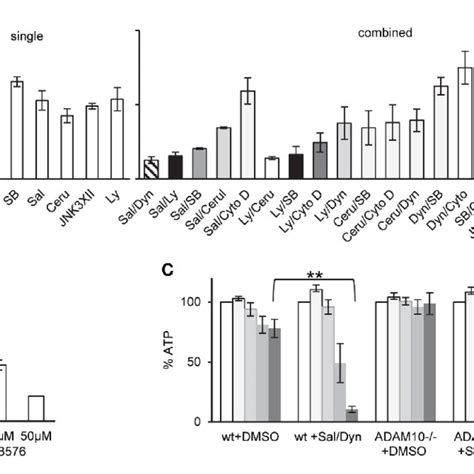 Inhibitors Of Various Pathways Sensitize Mefs To α α α Toxin A Wt Download Scientific