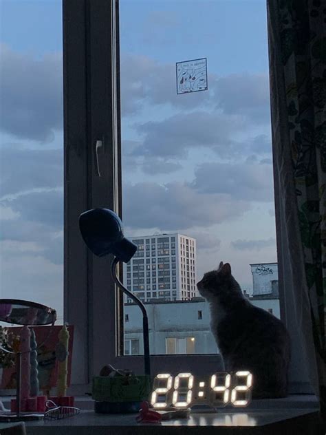 Пин от пользователя Ai Len на доске Fotografía в 2025 г Фоновые рисунки Пейзажи Живописные