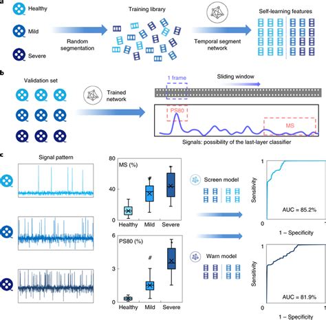 Self Learning Phenotypic Features By Deep Learning A A Total Of 3796