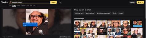Yandex Images API Missing Crops And Image Sizes Results Issue Serpapi Public Roadmap