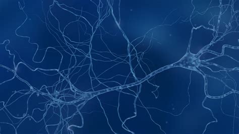 Relapsing And Progressive Multiple Sclerosis Understanding