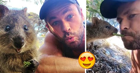 Chris Hemsworth Roba Suspiros En Instagram Junto A Un Quokka
