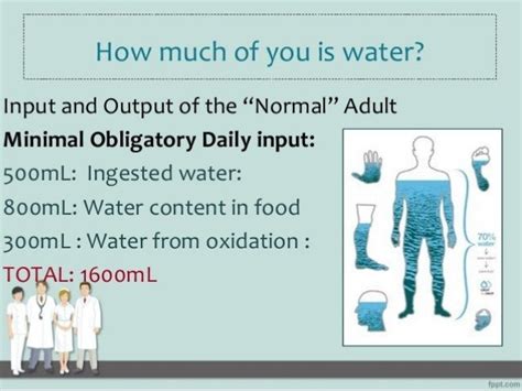 intake output chart guidelines