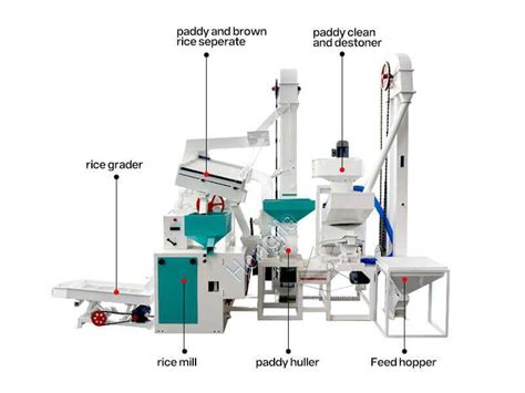 Revolutionizing Grain Processing The Rise Of Automatic Rice Mills Rice21 Grain Processing News