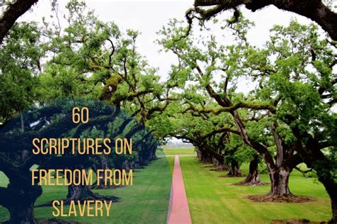 60 Intriguing Sex Is A T From God Bible Verses Bible Verses Of The Day