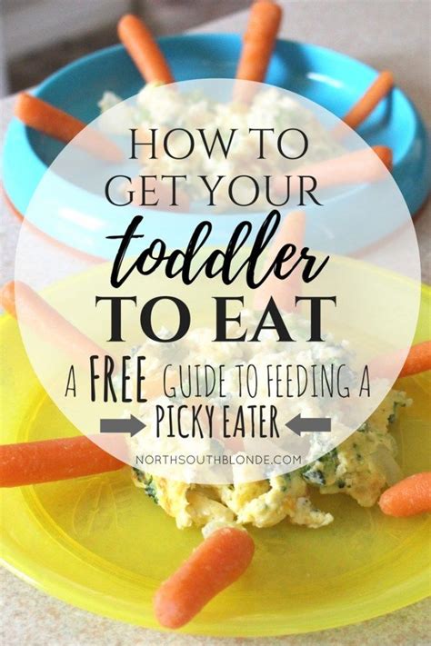 How To Get Your Picky Eater to Eat (a Free Guide for Parents) | Picky eating toddler, Toddler ...
