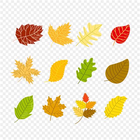 단풍 나뭇잎 일러스트 가을 가을 식물 Png 일러스트 및 벡터 에 대한 무료 다운로드 Pngtree