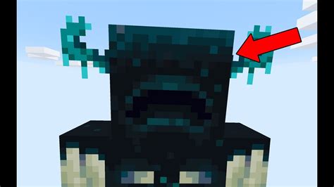 Can Warden See YouTube