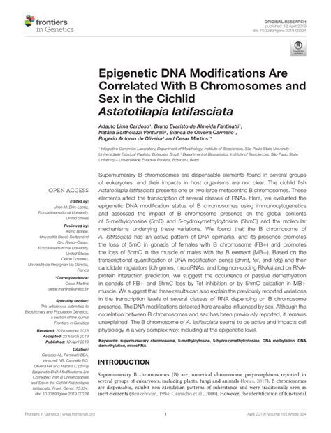 Pdf Epigenetic Dna Modifications Are Correlated With B Chromosomes