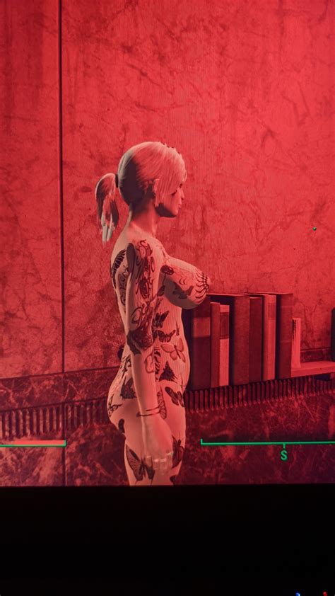 Bodyslide Not Applying Bodies Correctly In Game Fallout 4 Technical