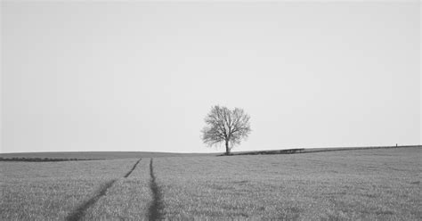 Data Pipeline Monitoring Vs Data Quality Monitoring What S The Difference — Bigeye