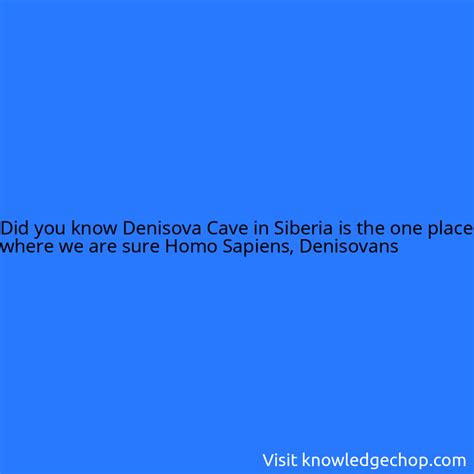 Dnd Ability Scores Explained With Tomatoes 🥷 Knowledge Ninja