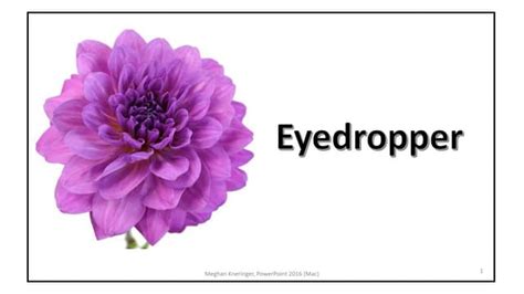 Eyedropper Powerpoint Tool Pptx Operating Systems Computer