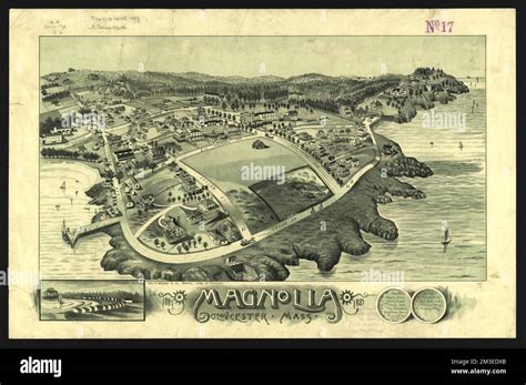 Magnolia Gloucester Mass Magnolia Gloucester Mass Aerial Views