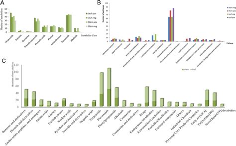 A Metabolite Classification Bar Chart In BGI Library B Bar Chart