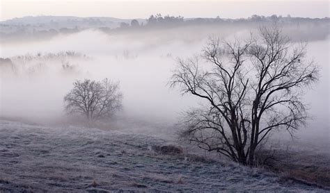 Tule Fog The Tule Fog Is A Thick Ground Fog That Settles I… Flickr