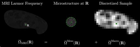 Larmor Frequency Shift From Magnetized Cylinders With Arbitrary Orientation Distribution