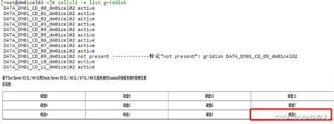 exadata一体机cell节点换盘操作 oracle cell csdn博客