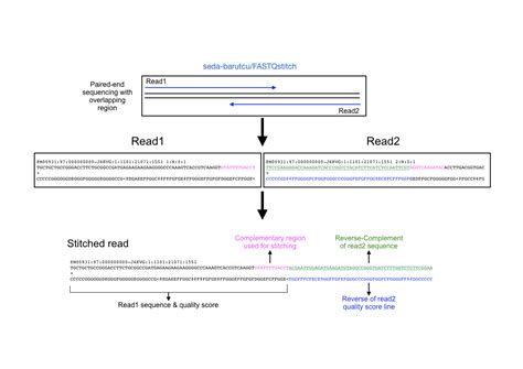 GitHub Seda Barutcu FASTQstitch Stitching Paired End Fastq Files Using Complementary Sequence