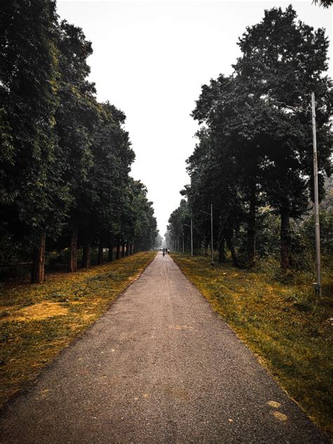 Mmmut Resources Gorakhpur