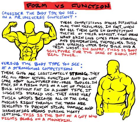 Form Vs Function Bodybuilders Vs Weightlifters The Adventures Of Accordion Guy In The 21st