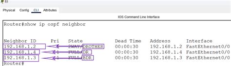 Ospf Dr Bdr Selection Process Explained