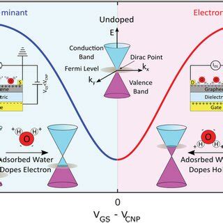 An Illustration Of How The Gate Voltage Is Hypothesized To Modify The Download Scientific